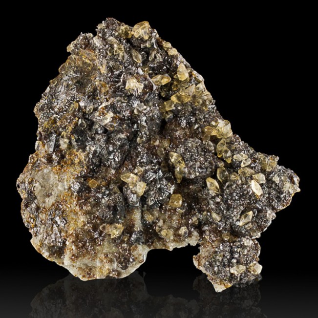 Treasure Mountain Mining